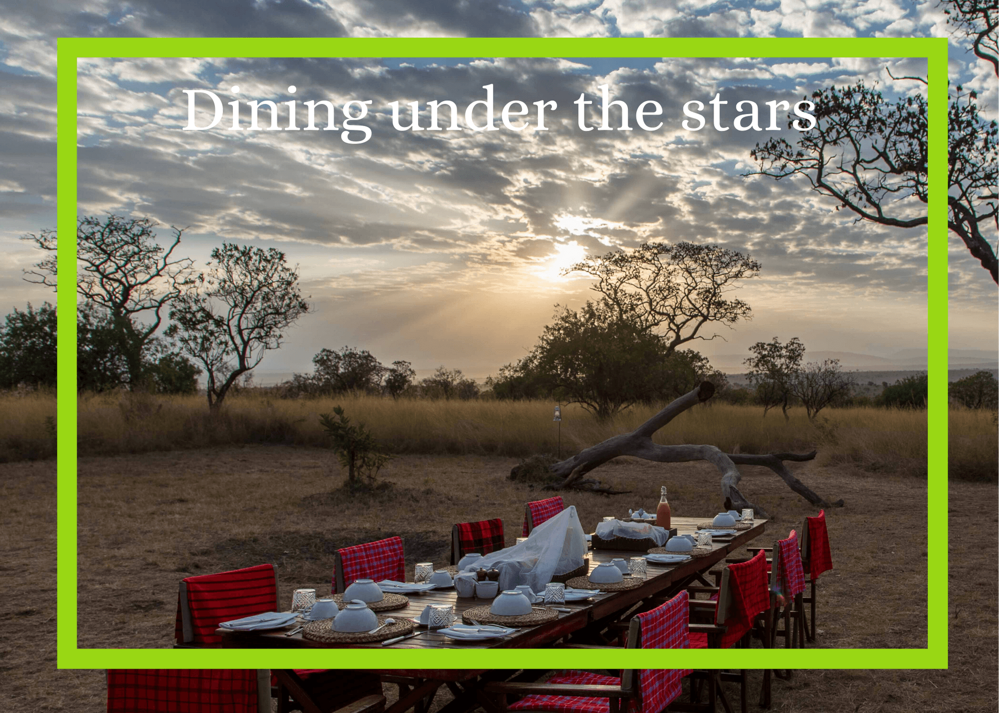 African Safaris - Live Well, Travel Often