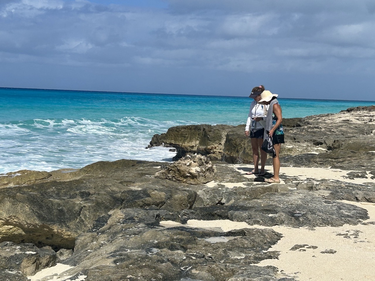 Perfect Cruise Day Trip to Bimini, Bahamas by Golf Cart - Live Well ...